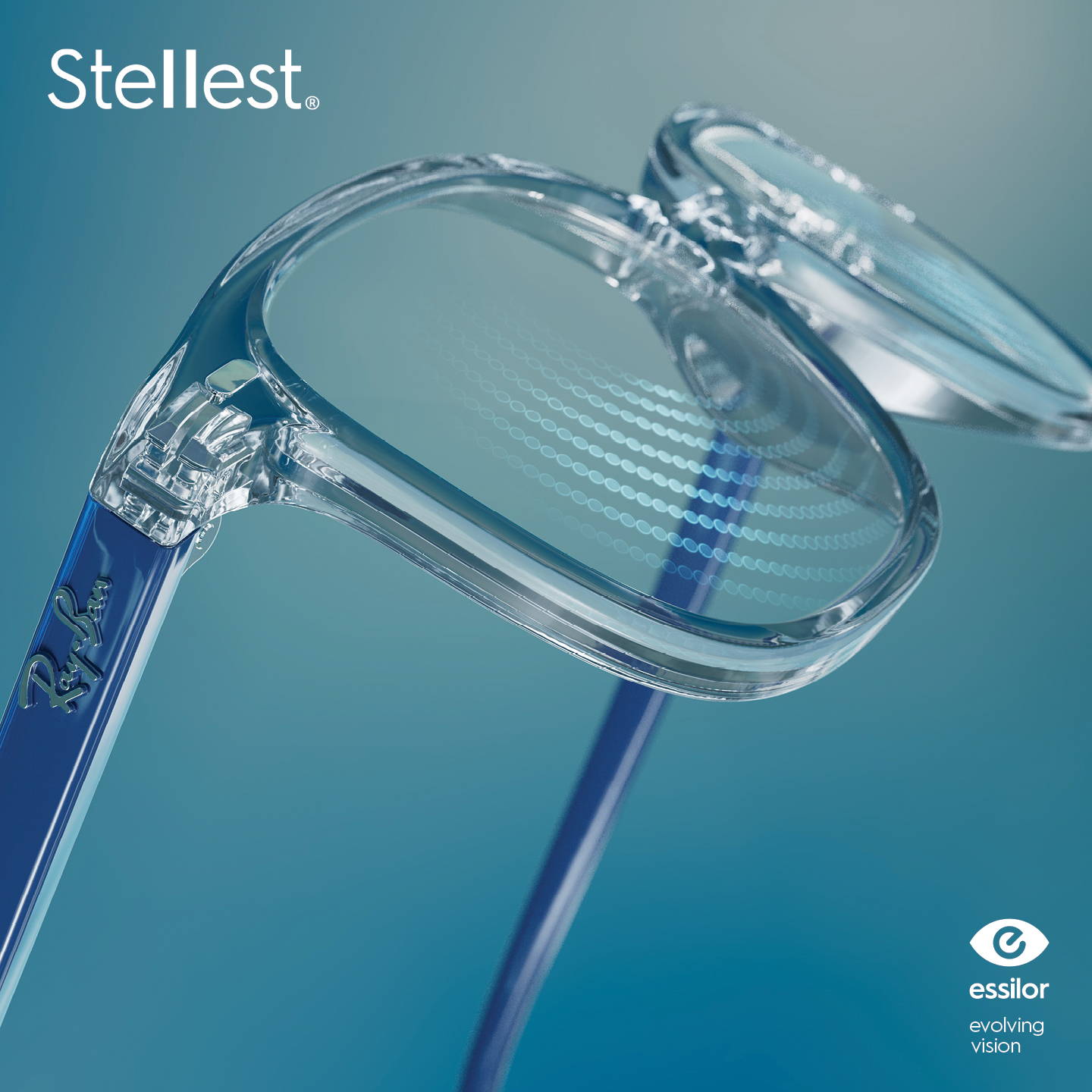 Stellest Mott Optical Group